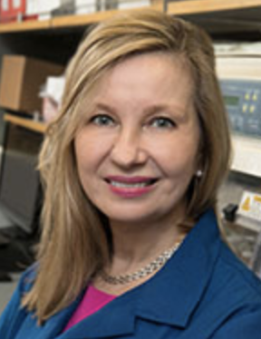 Faculty awards – UCLA Physical Sciences